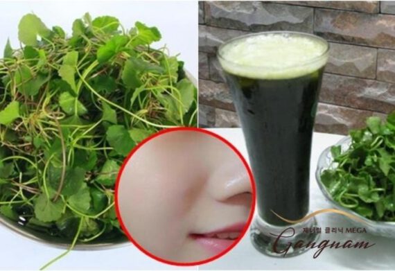 Top 5+ Công thức đắp mặt nạ rau má hiệu quả nhất