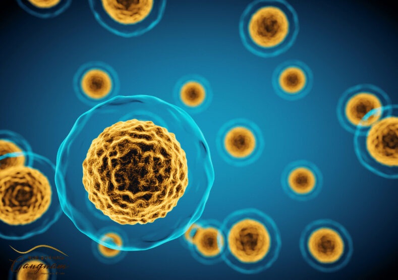 Exosome Therapy - Công nghệ liệu pháp Exosomes trong làm đẹp