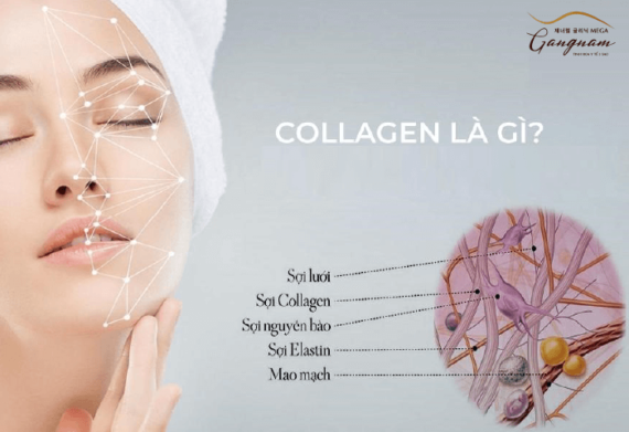 Top 10+ Collagen bôi mặt chất lượng, giá tốt nhất hiện nay