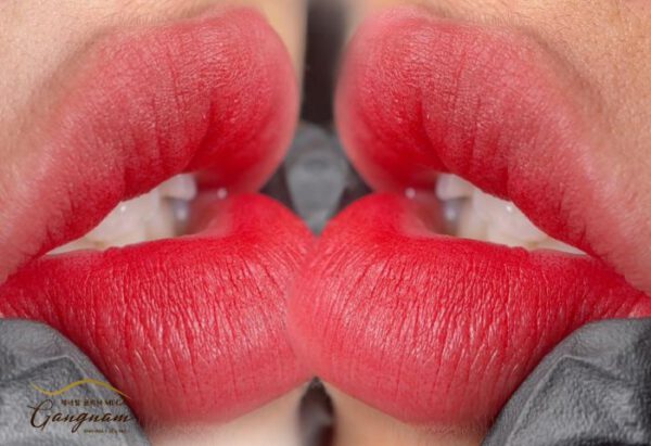 Phương Pháp Phun Môi Tự Nhiên An Toàn, Hiệu Quả, Giá Tốt