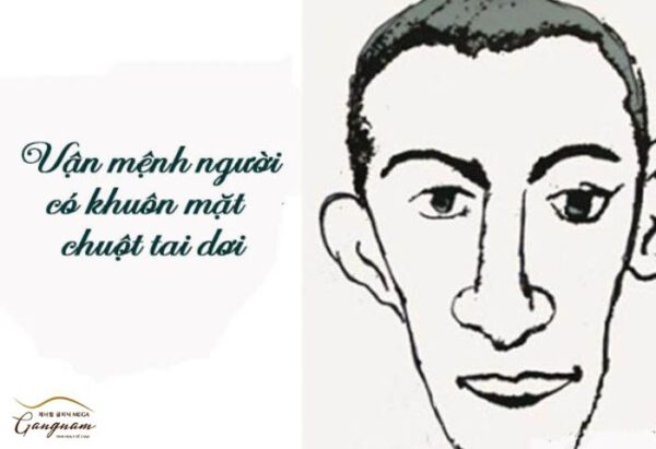 Mặt chuột tai dơi: Tướng số, vận mệnh, cách khắc phục